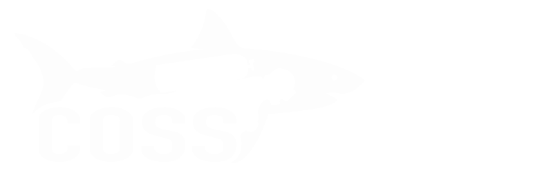 Page de maintenance - Boutique Officielle du COSS